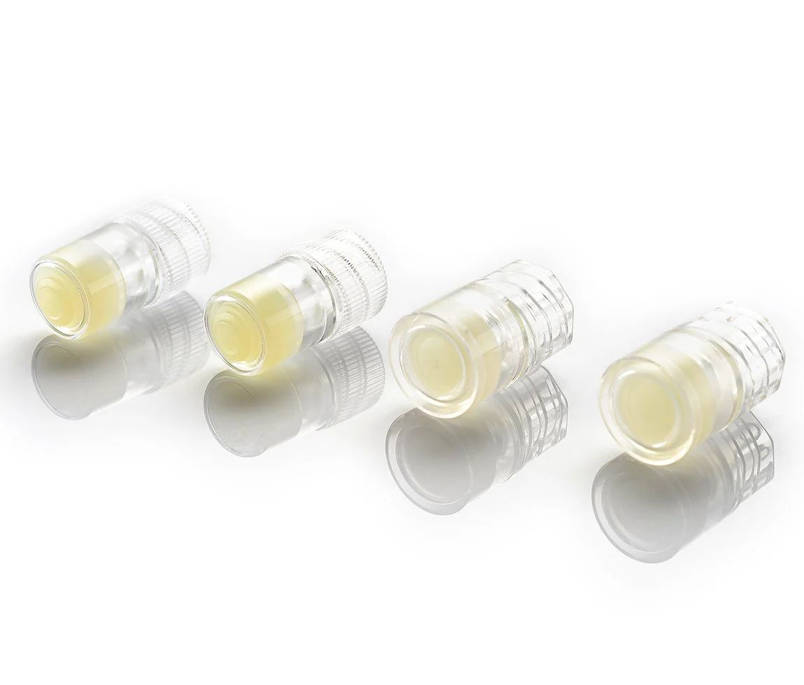 Injection Cap - Buy Kyphoplasty Balloon Catheter, Kyphoplasty Tool Kit ...